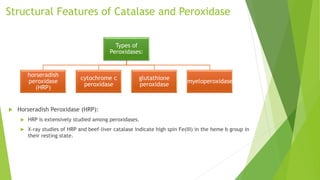 Metalloenzymes | PPTX