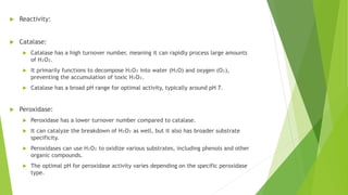 Metalloenzymes | PPTX
