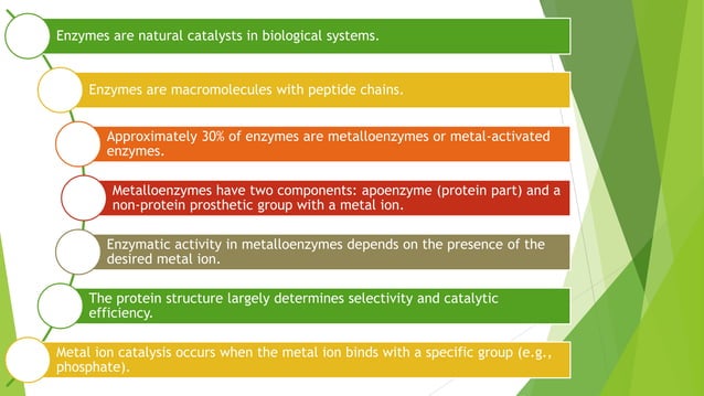 Metalloenzymes | PPTX