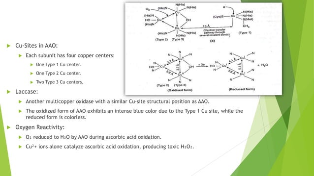 Metalloenzymes | PPTX