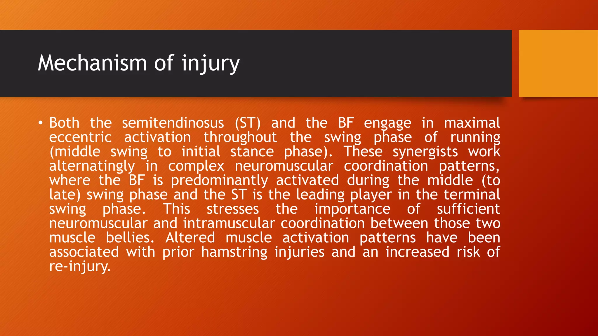 Bicep Femoris Tendinitis | PDF