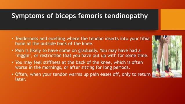 Bicep Femoris Tendinitis | PPT