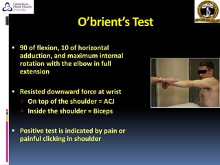 Biceps the pain generator | PPT