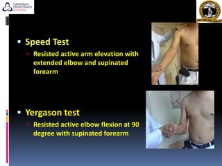 Biceps the pain generator | PPT