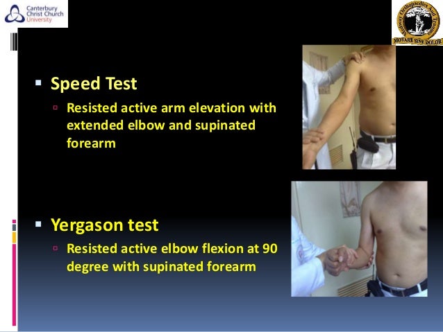 Biceps the pain generator