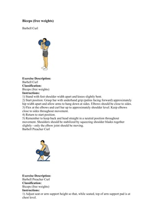 Bicept Workouts For All Levels | PDF