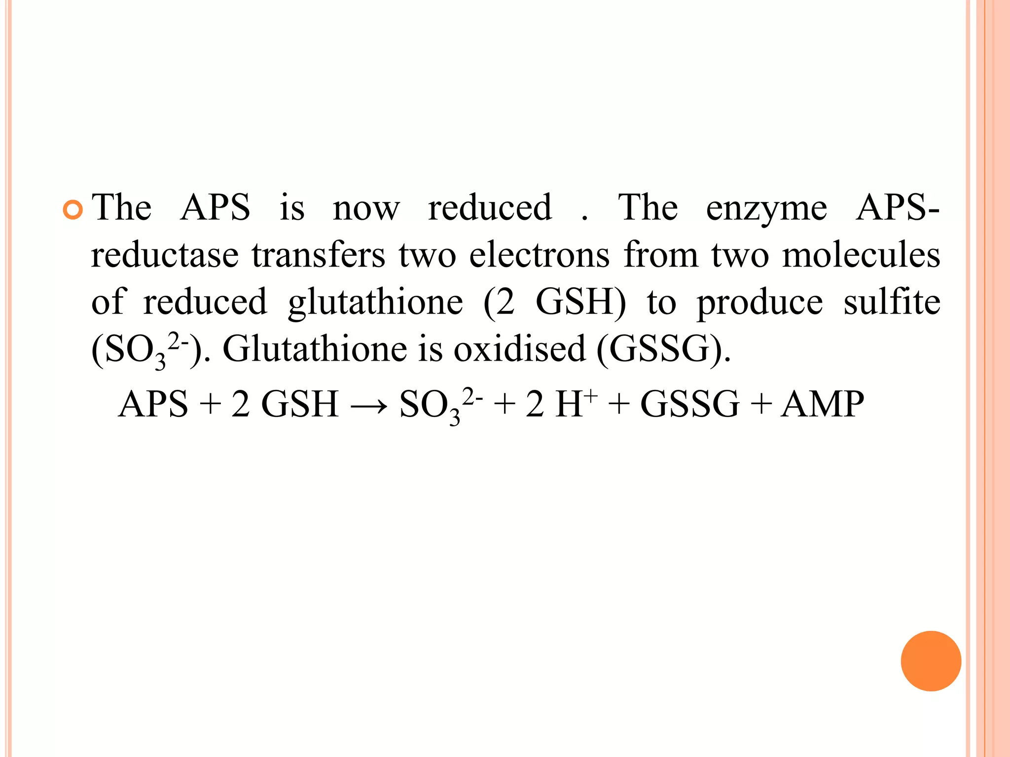 biochemistry of sulphur containing aminoacids | PPTX