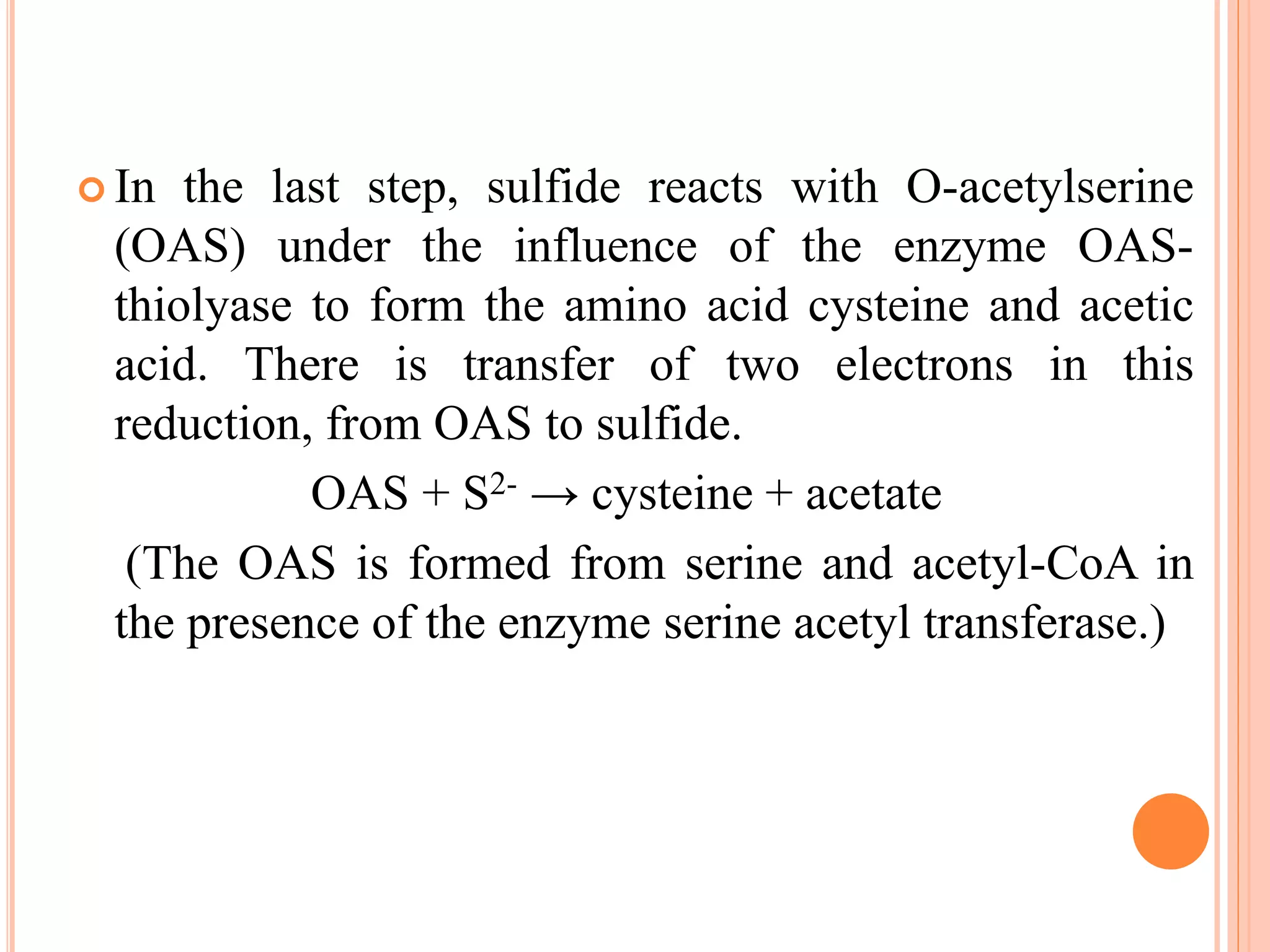 biochemistry of sulphur containing aminoacids | PPTX