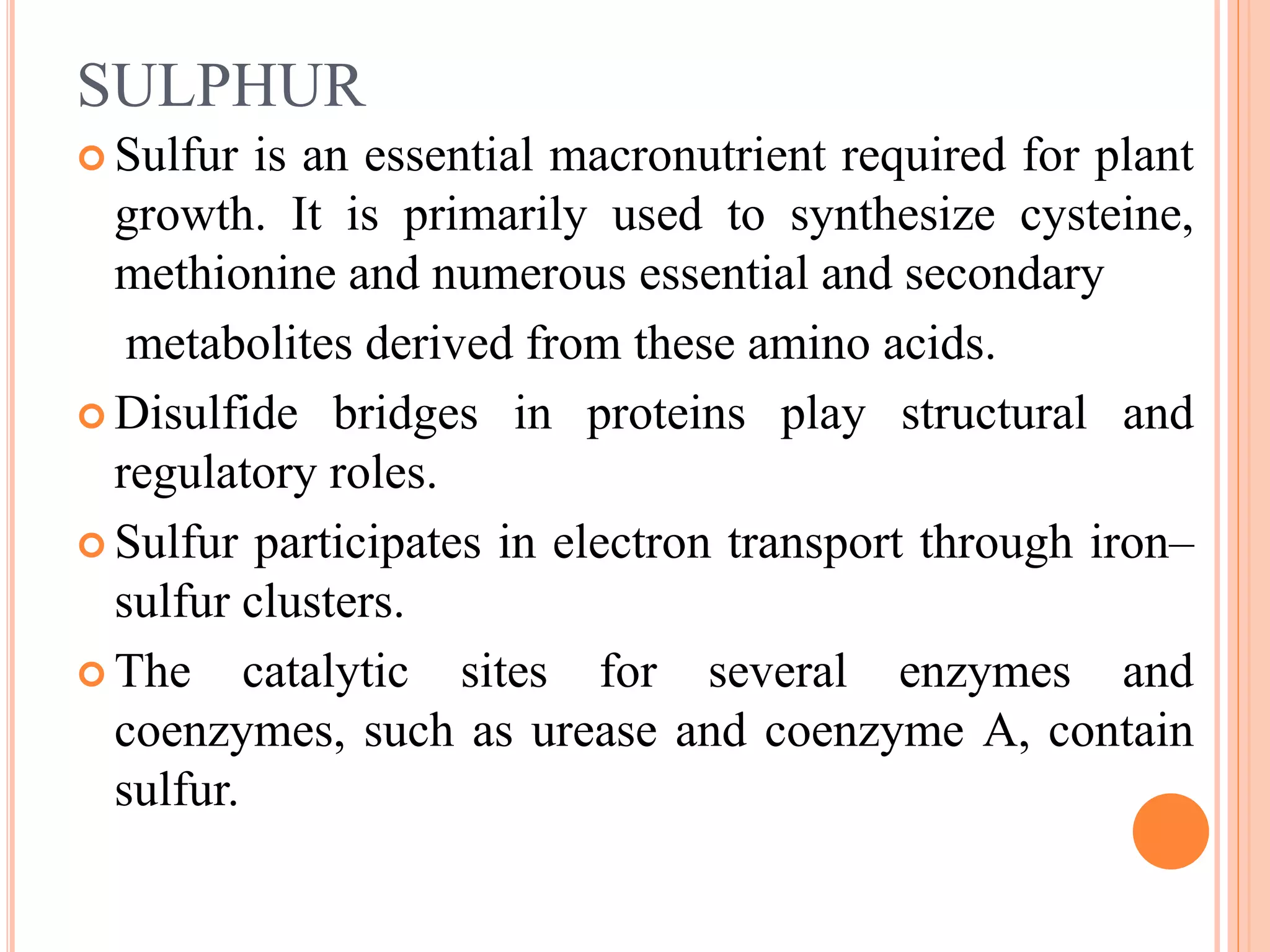biochemistry of sulphur containing aminoacids | PPTX