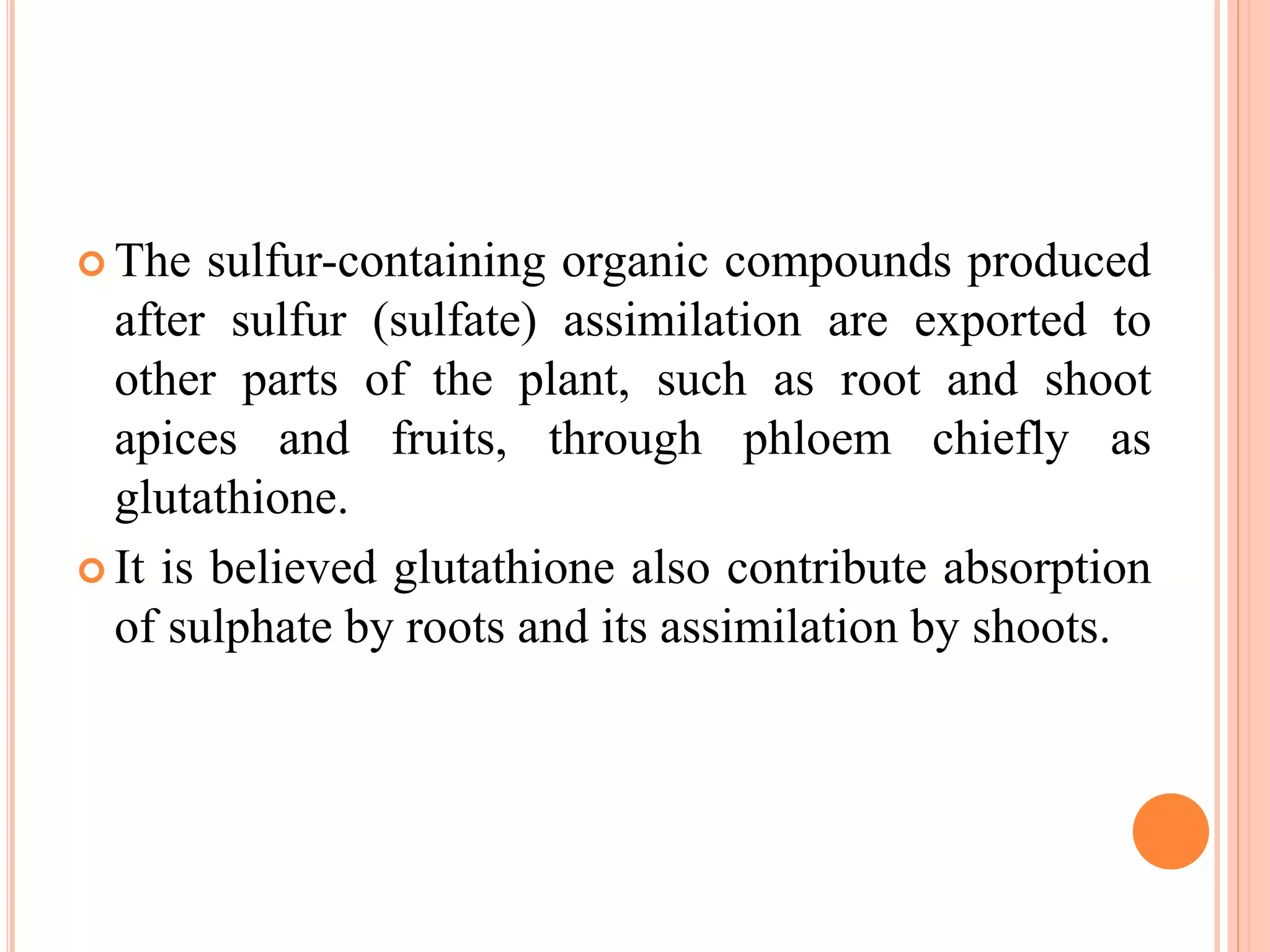 biochemistry of sulphur containing aminoacids | PPTX