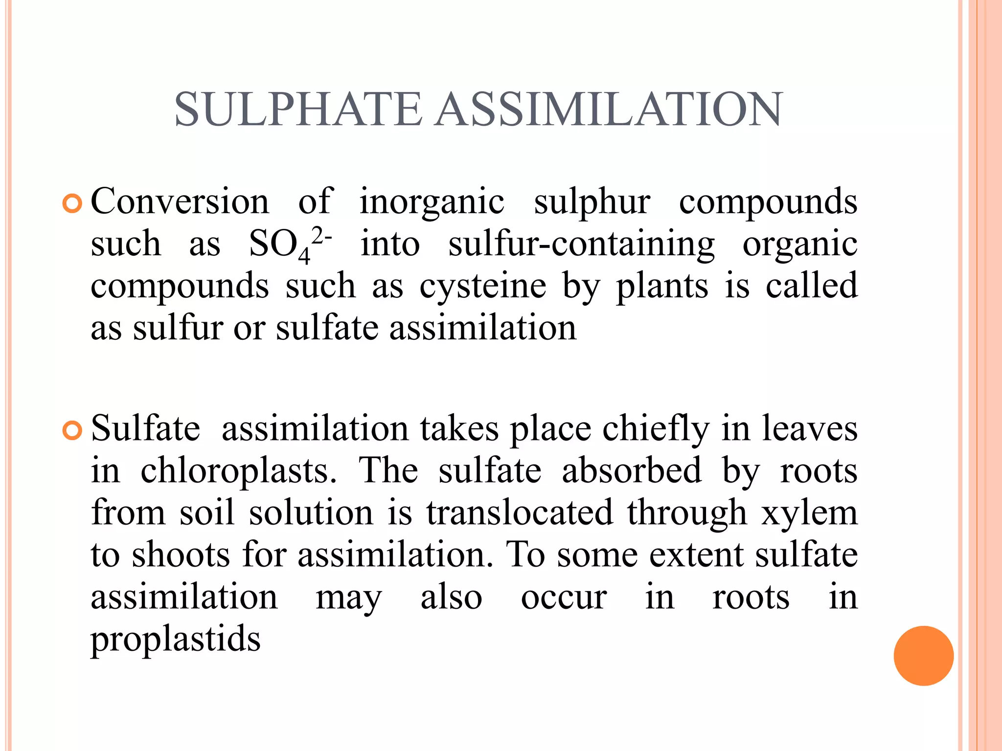 biochemistry of sulphur containing aminoacids | PPTX