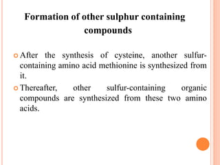 biochemistry of sulphur containing aminoacids | PPTX