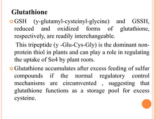 biochemistry of sulphur containing aminoacids | PPTX