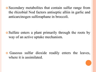 biochemistry of sulphur containing aminoacids | PPTX