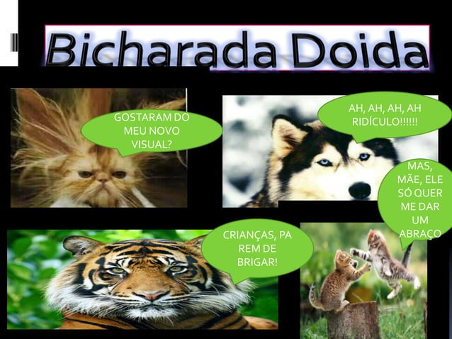 Bicharada pirada | PPTX