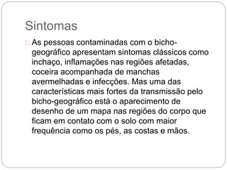 Bicho geográfico | PPTX