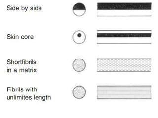 Bicomponent fibers | PPTX