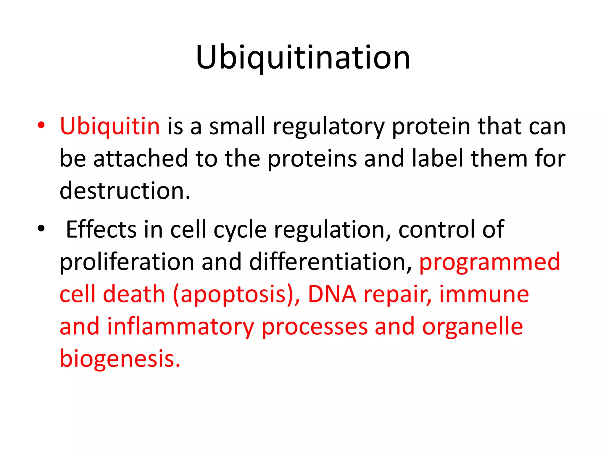 post translational modifications of protein | PPT