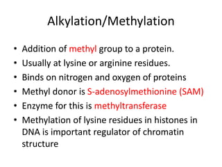 post translational modifications of protein | PPTX