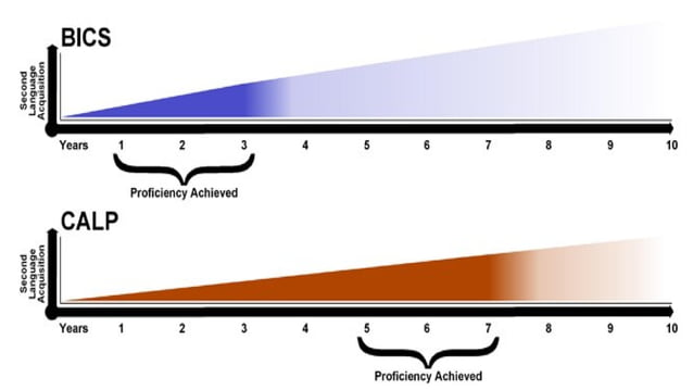 Bics and calp | PPT | Education