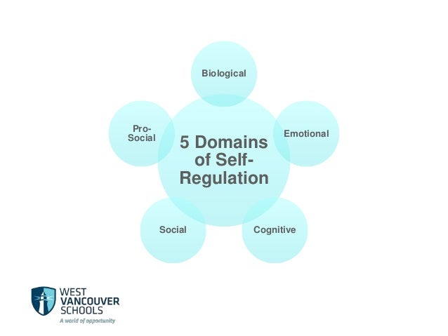 BICS Self-Regulation Parent Presentation