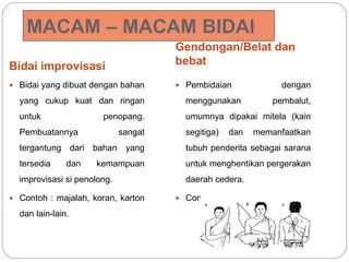 Bidai.ppt