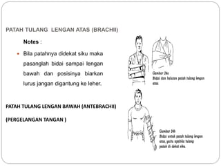 Bidai.ppt