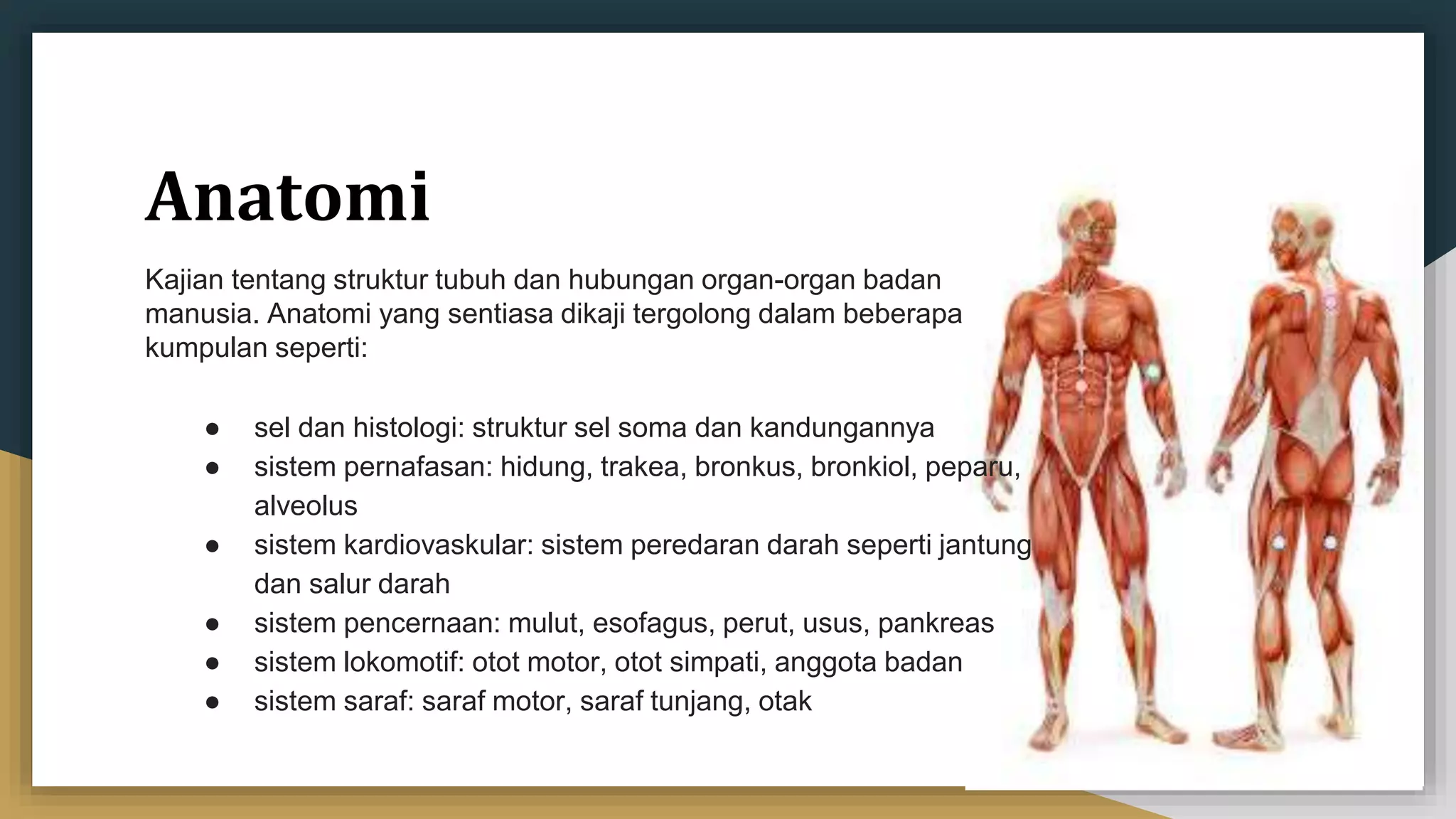 Sains sukan Tingkatan 4 Bab 1 - Bidang bidang ilmu sains sukan | PPTX