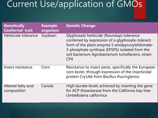 Food biotechnology and genetic engineering | PPTX