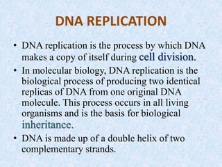 Bidirectional and rolling circular dna replication | PPTX