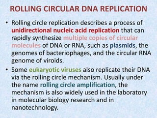 Bidirectional and rolling circular dna replication | PPTX