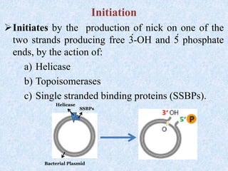 Bidirectional and rolling circular dna replication | PPTX