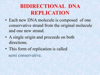 Bidirectional and rolling circular dna replication | PPTX | Chemistry ...
