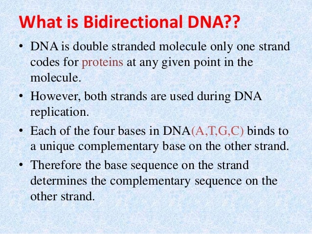 Bidirectional and rolling circular dna replication