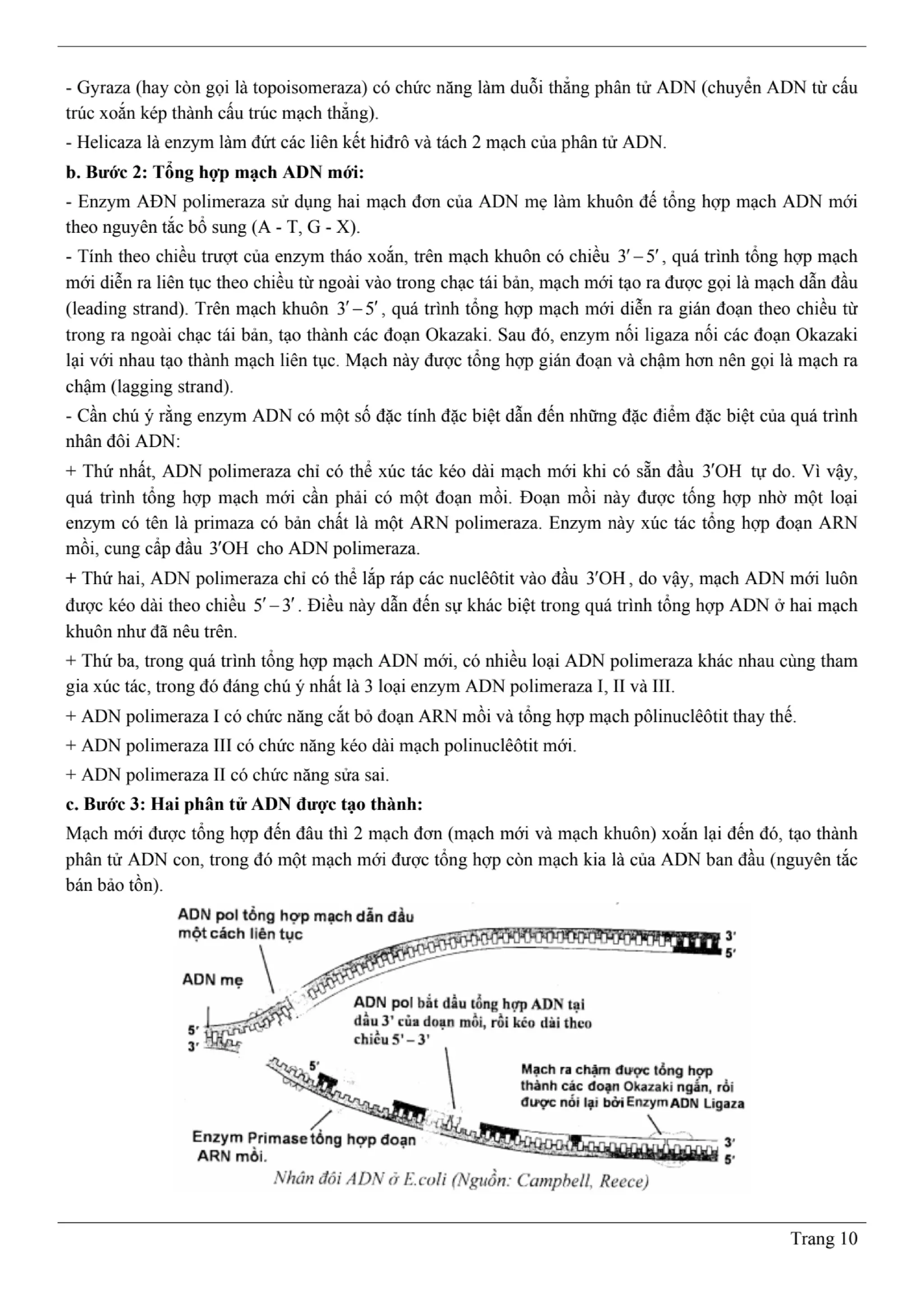 Bồi dưỡng học sinh giỏi Sinh Học 12 - Phan Khắc Nghệ (Di truyền học - Tiến hóa - Sinh thái học ...