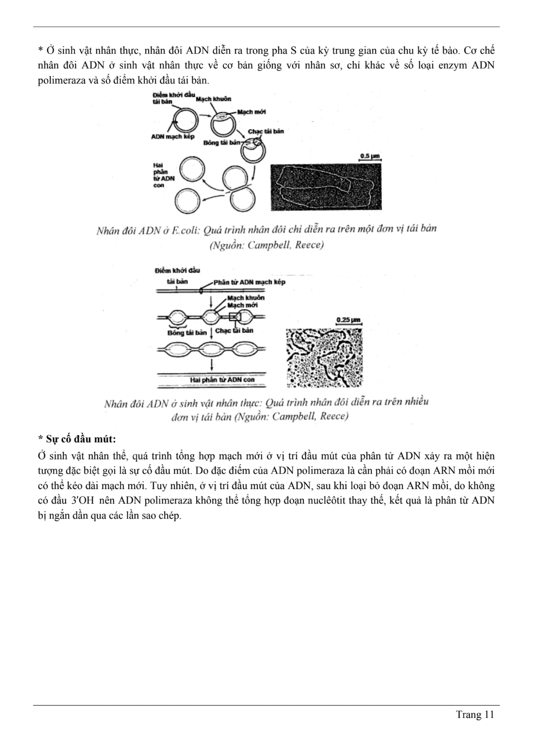 Bồi dưỡng học sinh giỏi Sinh Học 12 - Phan Khắc Nghệ (Di truyền học - Tiến hóa - Sinh thái học ...