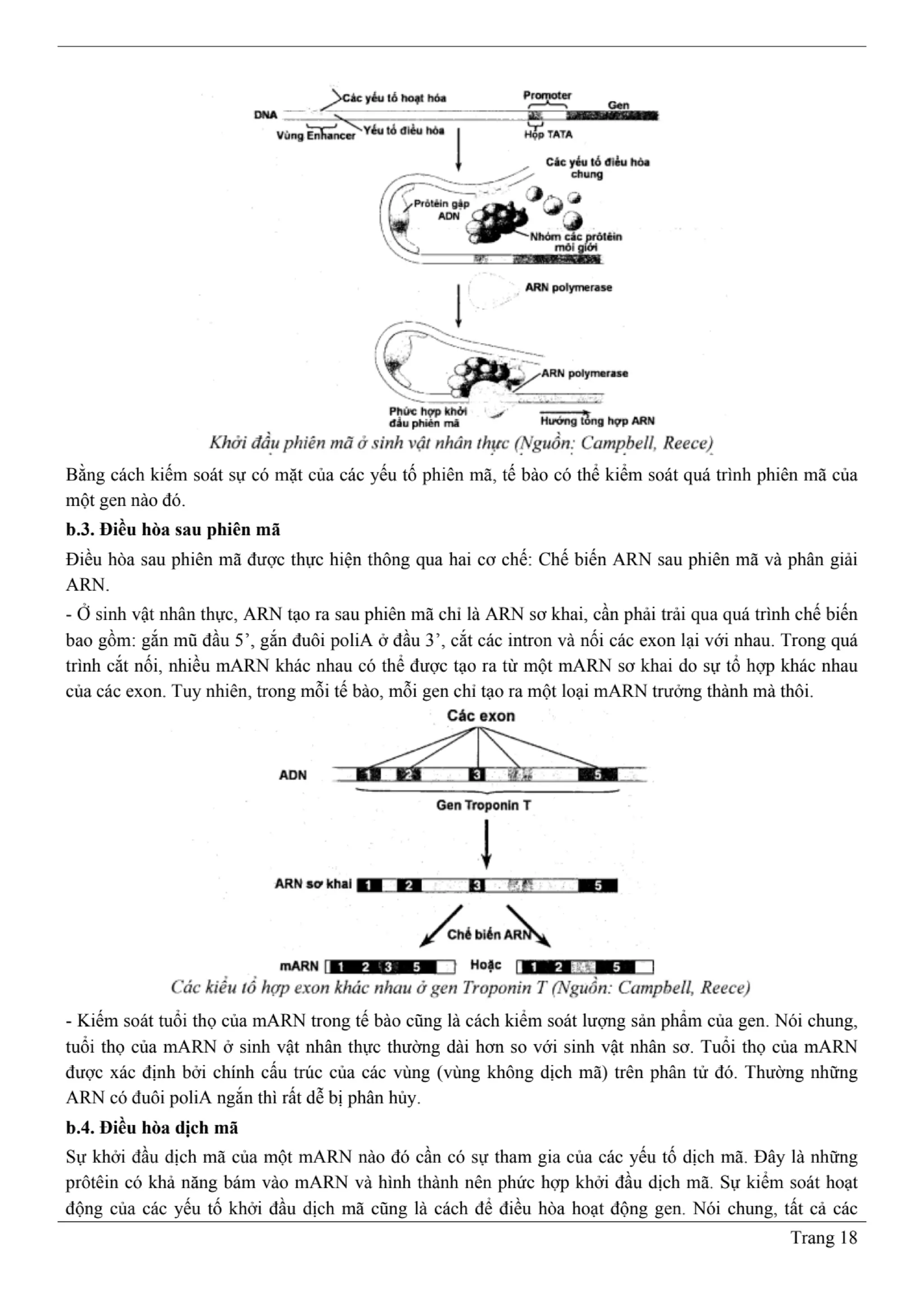 Bồi dưỡng học sinh giỏi Sinh Học 12 - Phan Khắc Nghệ (Di truyền học - Tiến hóa - Sinh thái học ...
