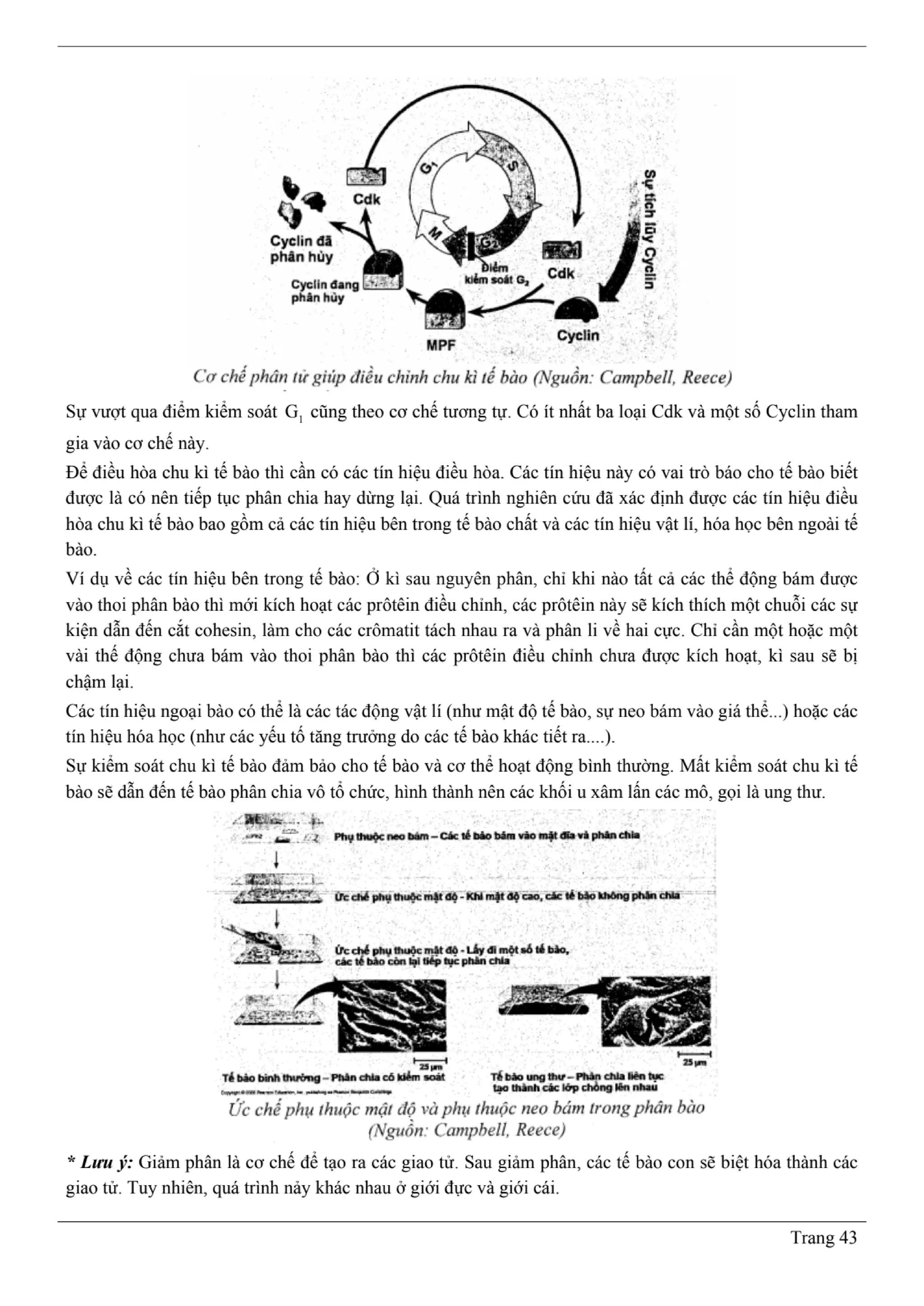 Bồi dưỡng học sinh giỏi Sinh Học 12 - Phan Khắc Nghệ (Di truyền học - Tiến hóa - Sinh thái học ...
