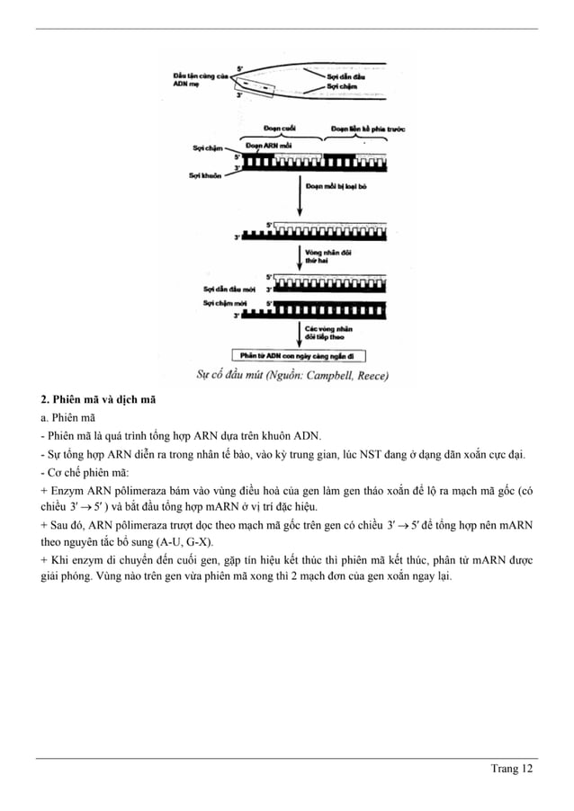 Bồi dưỡng học sinh giỏi Sinh Học 12 - Phan Khắc Nghệ (Di truyền học - Tiến hóa - Sinh thái học ...
