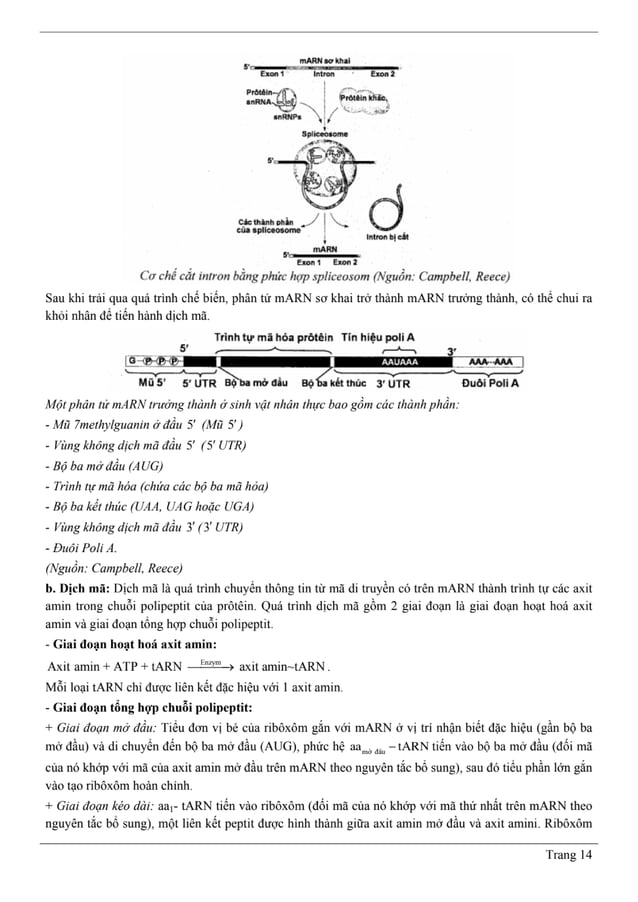 Bồi dưỡng học sinh giỏi Sinh Học 12 - Phan Khắc Nghệ (Di truyền học - Tiến hóa - Sinh thái học ...