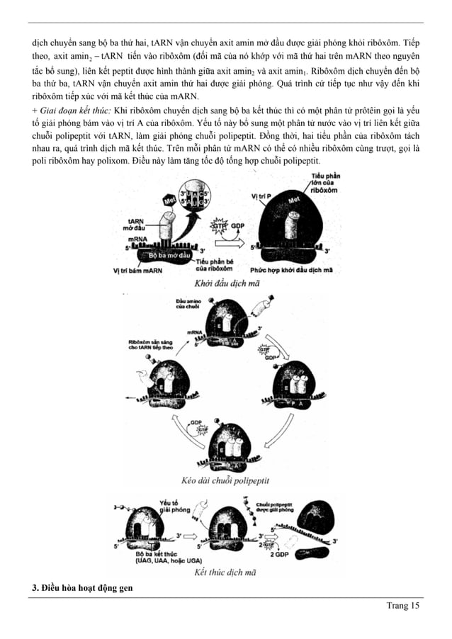 Bồi dưỡng học sinh giỏi Sinh Học 12 - Phan Khắc Nghệ (Di truyền học - Tiến hóa - Sinh thái học ...