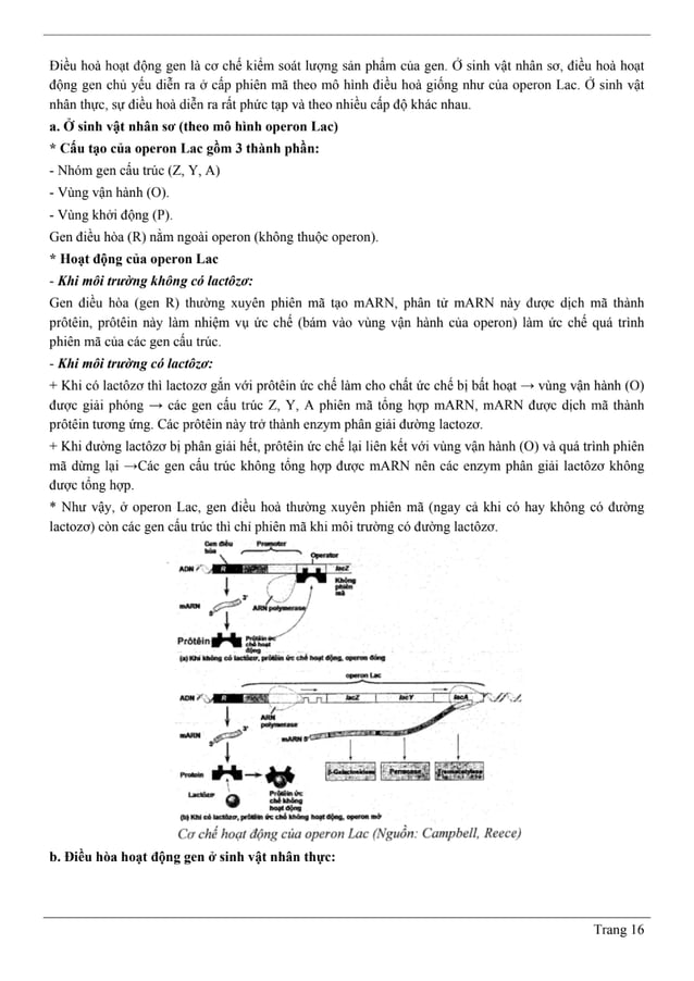 Bồi dưỡng học sinh giỏi Sinh Học 12 - Phan Khắc Nghệ (Di truyền học - Tiến hóa - Sinh thái học ...