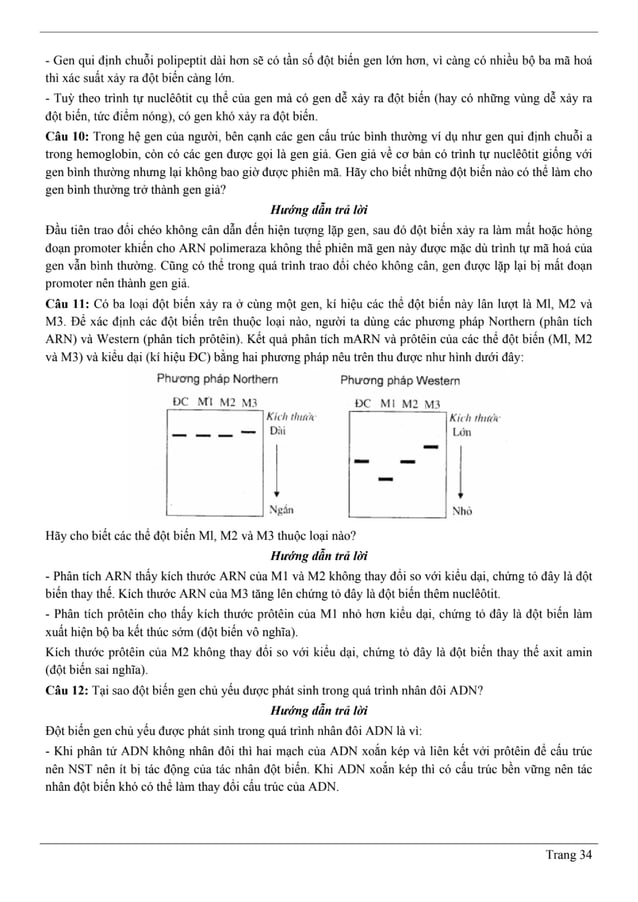 BỒI DƯỠNG HỌC SINH GIỎI SINH HỌC 12 - PHAN KHẮC NGHỆ (DI TRUYỀN HỌC - TIẾN HÓA - SINH THÁI HỌC ...