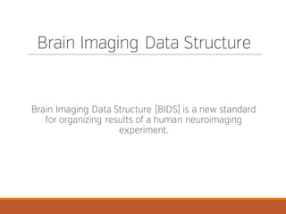 Brain Imaging Data Structure | PDF