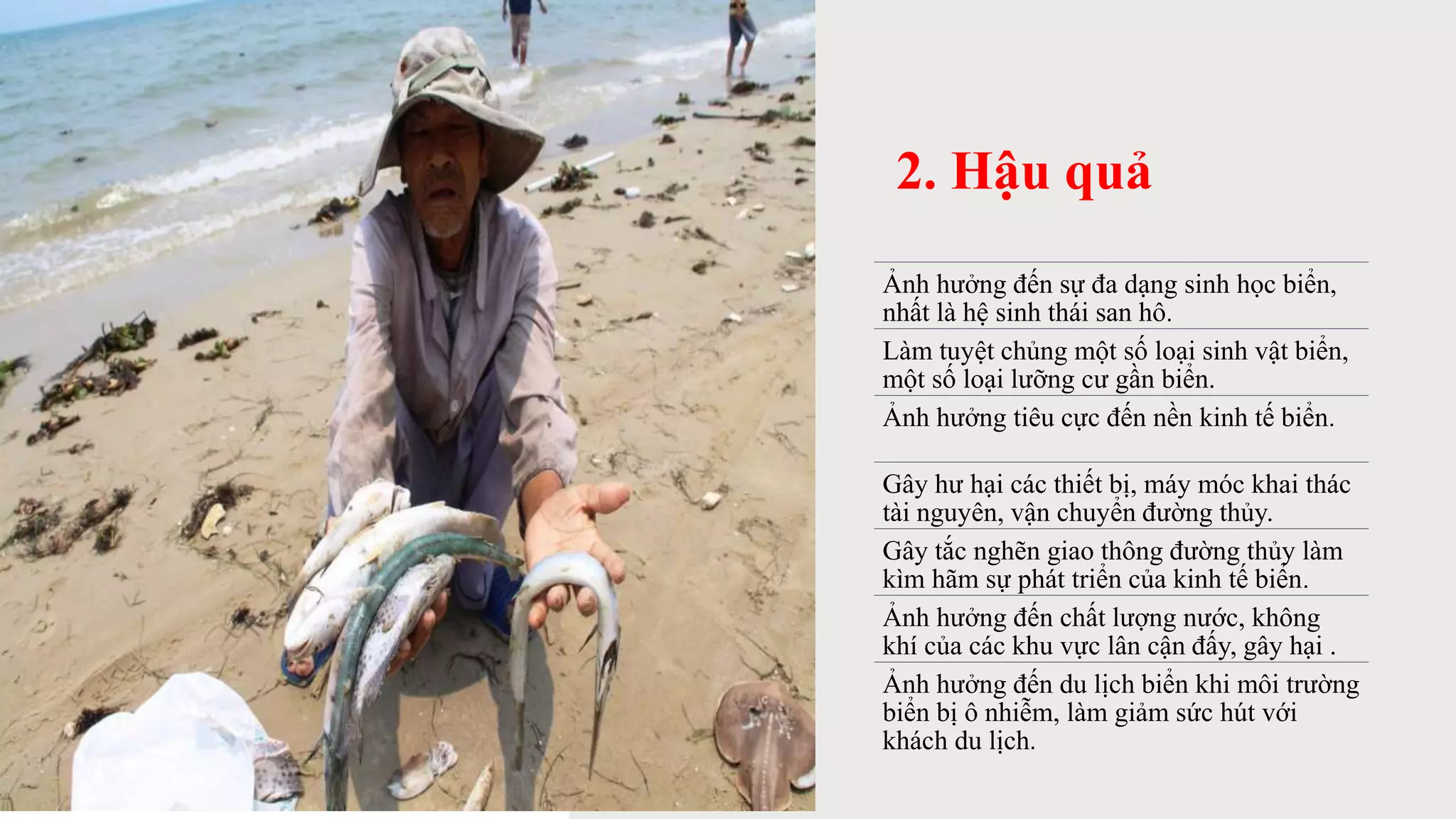 Bien dao va quan dao.pptx