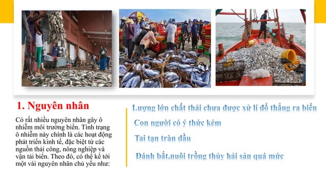 Bien dao va quan dao.pptx