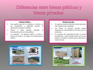 Bienes de dominio publico y privado | PPTX