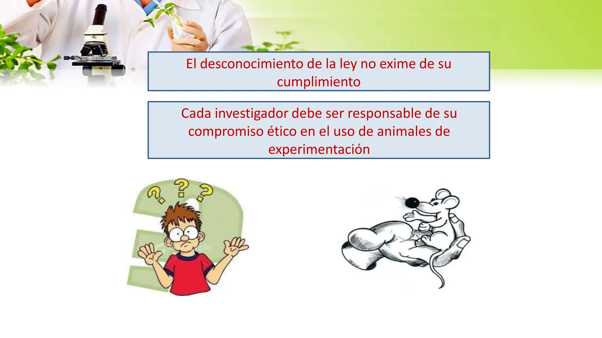 Bienestar Animal Clase 3. Animales de experimentacion.pptx