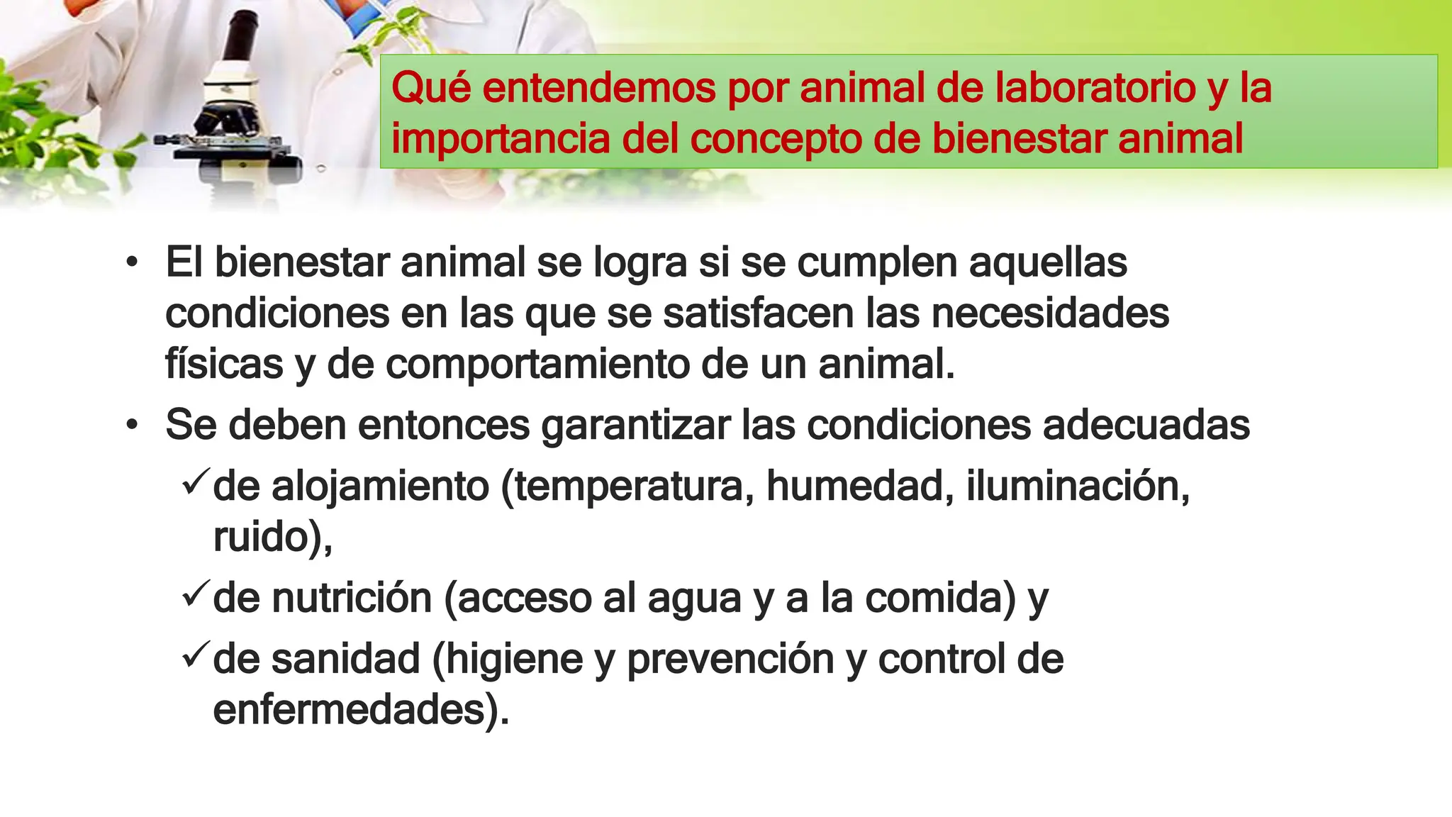 Bienestar Animal Clase 3. Animales de experimentacion.pptx