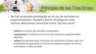 Bienestar Animal Clase 3. Animales de experimentacion.pptx